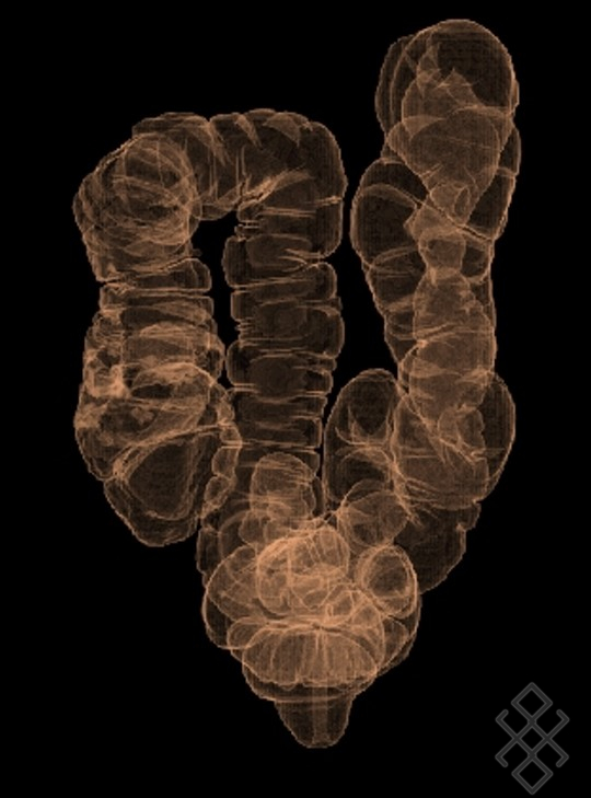 Coloscanner - Définition & Déroulement - Prise de rdv en ligne